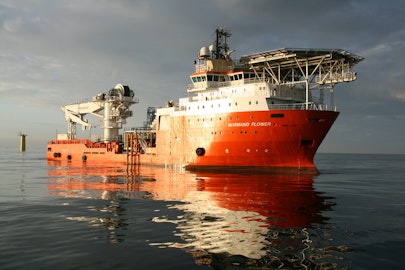 Normand Flower - Solstad